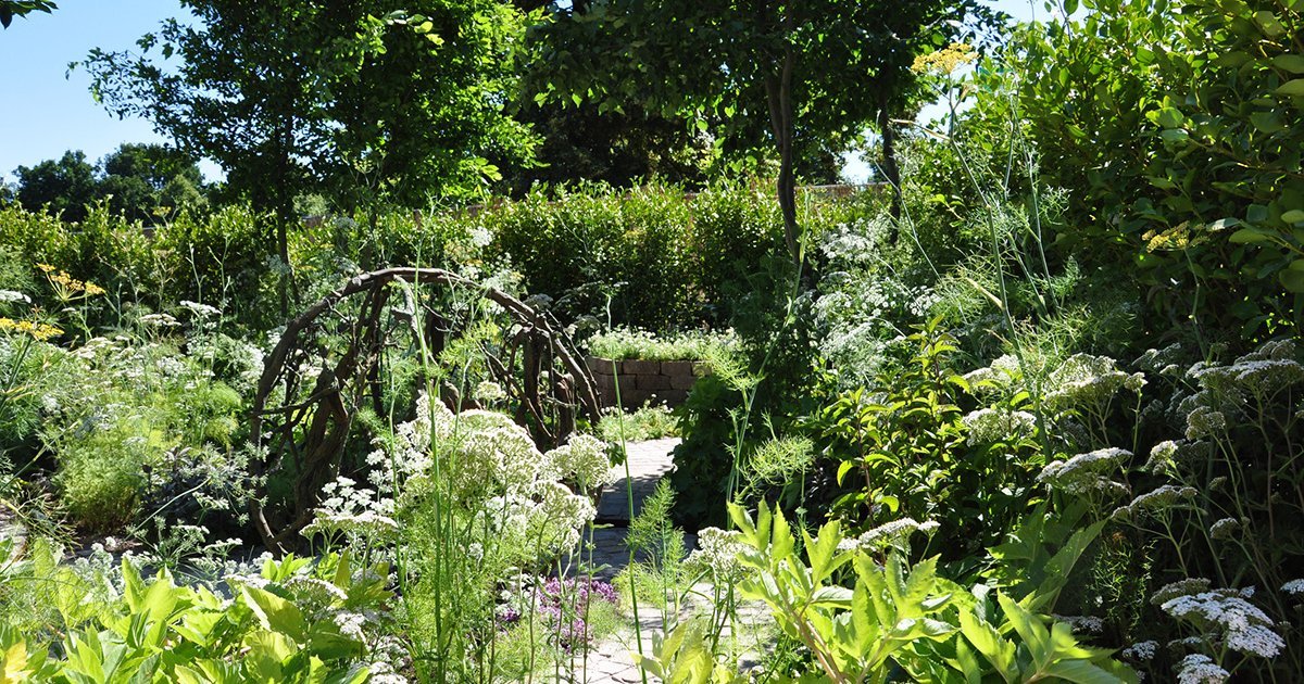 Naturgarten anlegen: Mit diesen Tipps förderst du Artenvielfalt und ...